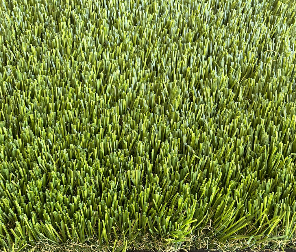 Residential Lawn Turf | Multi-Purpose - SF50 - Sports Facility